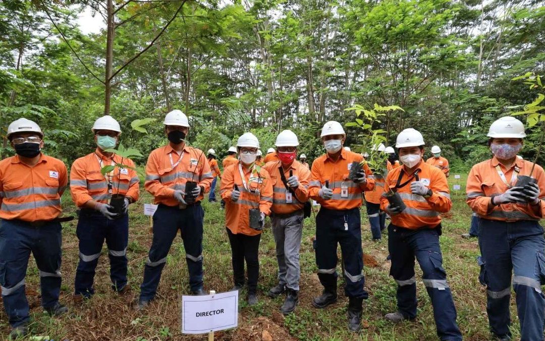 Menjaga Lingkungan Tambang? Simak Aktivitas Agincourt Resources!